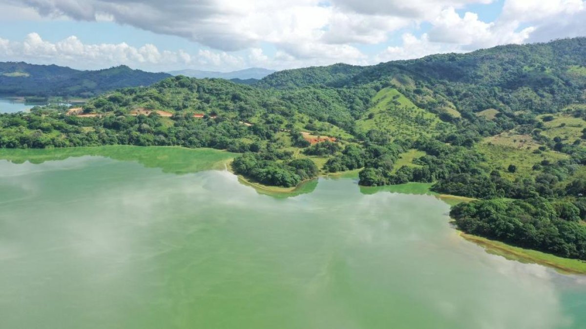 Presa de Hatillo bajo vigilancia: Indrhi asegura monitoreo ambiental ...