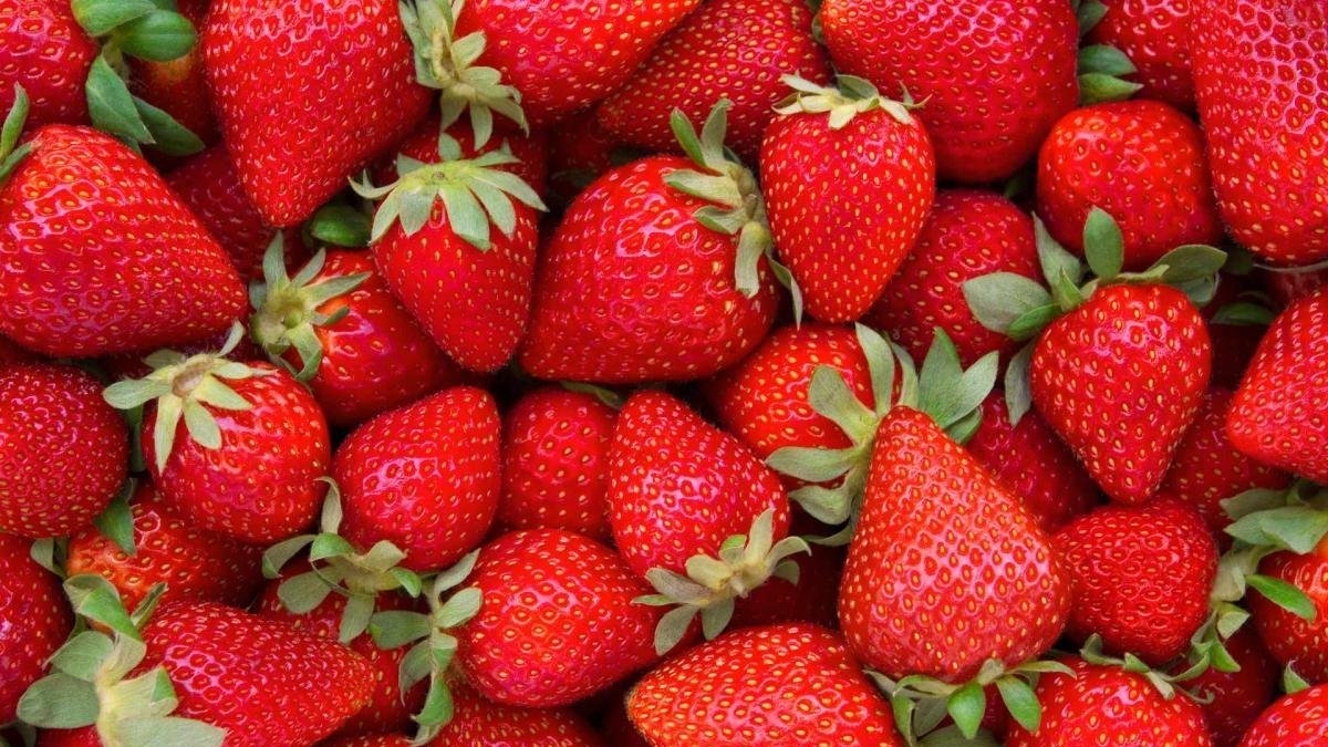 Fresas y la importancia de tenerlas en nuestra dieta