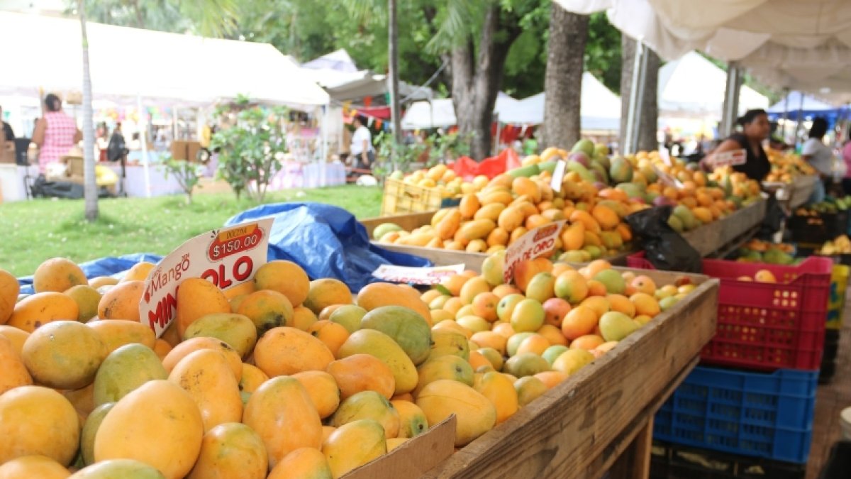 Concluye feria mango en Baní