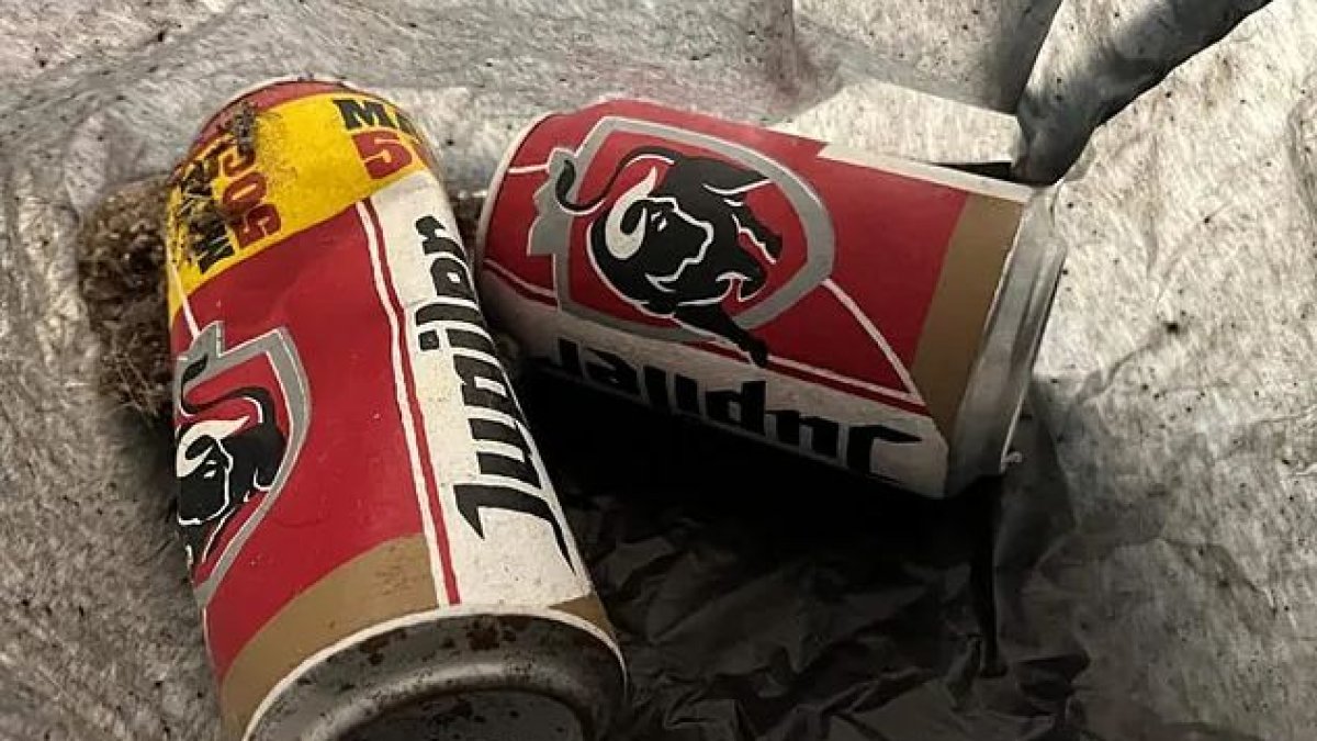 Rescatan una obra de arte de latas de cerveza tras confundirla con basura