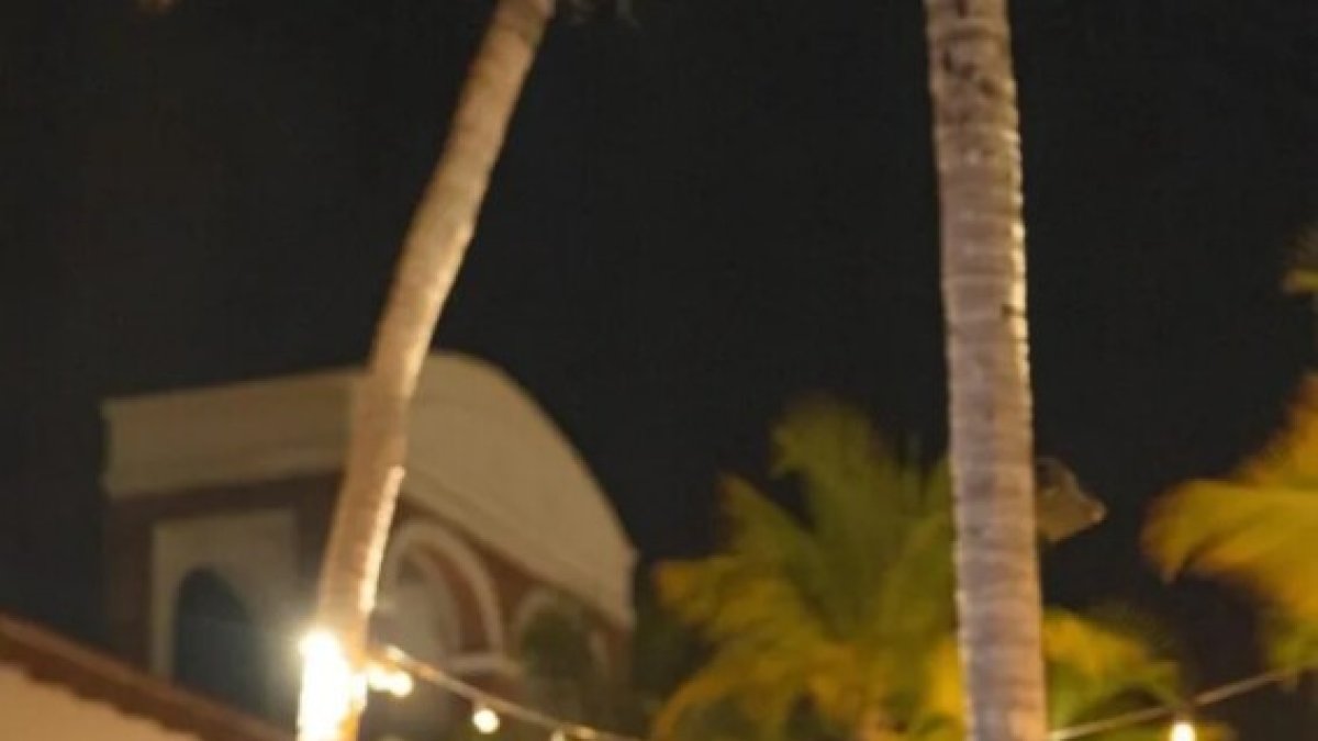 Seis países competirán en el “White Marlin Tournament Cap Cana”