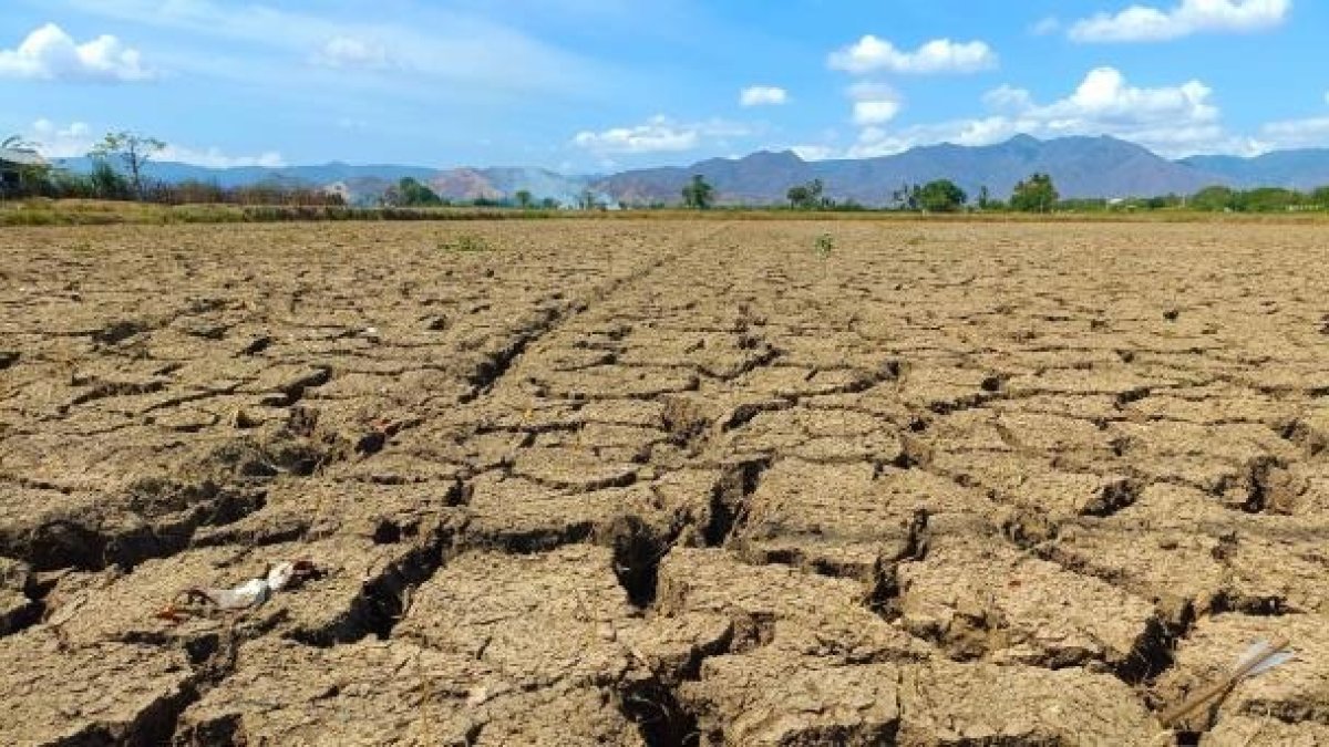 PMA advierte a RD y Centroamérica sobre posible sequía que podría ...