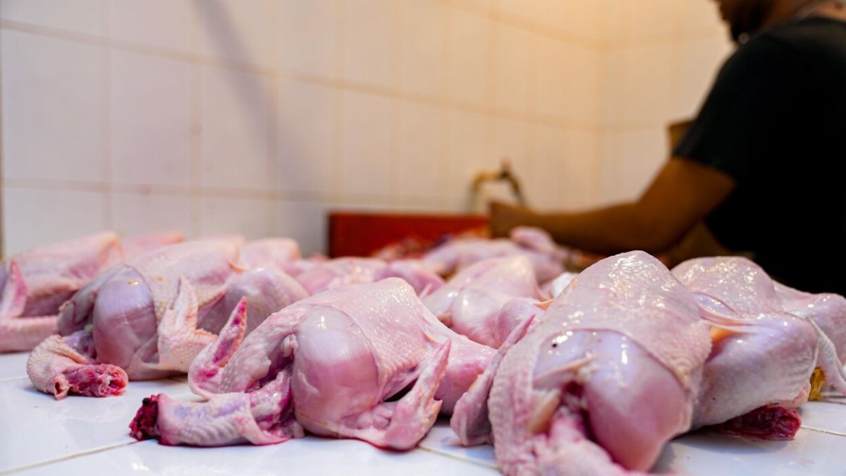 Precio del pollo muestra baja y llega hasta RD$55