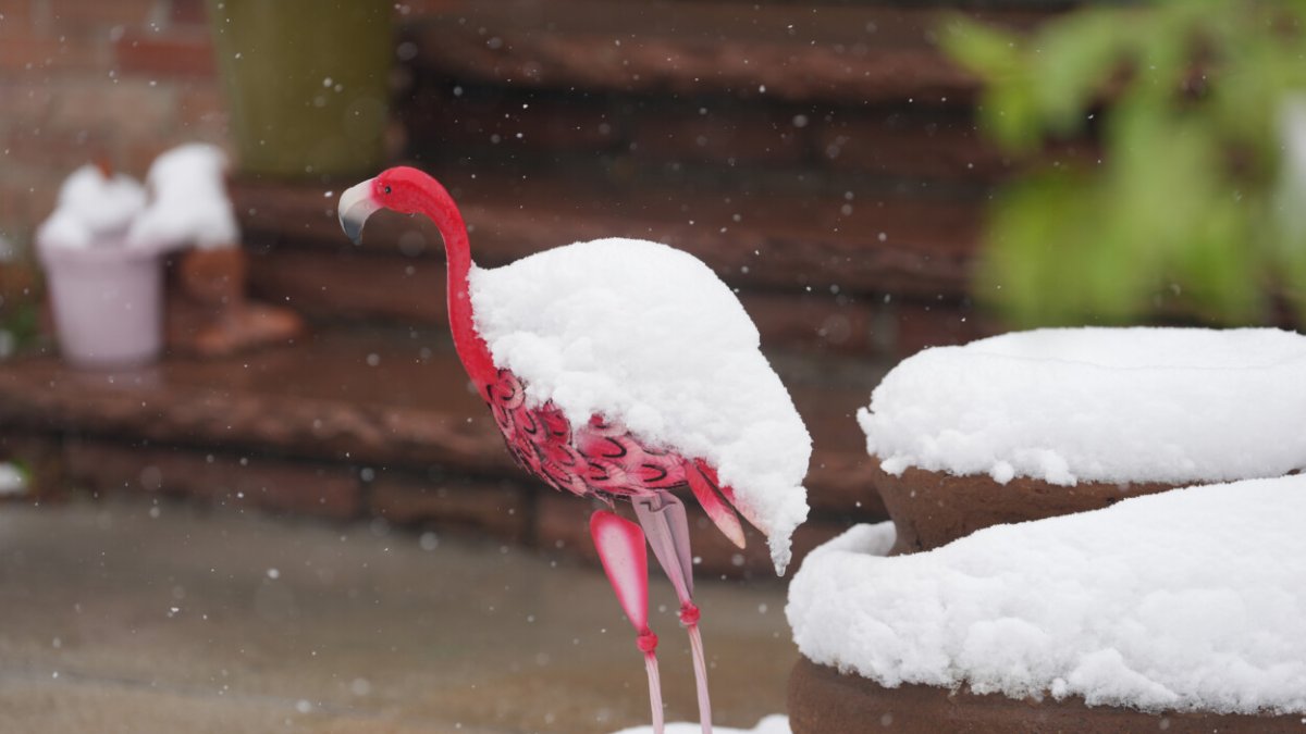 Tormenta de nieve tardía azota Colorado, cierra escuelas y afecta a ...