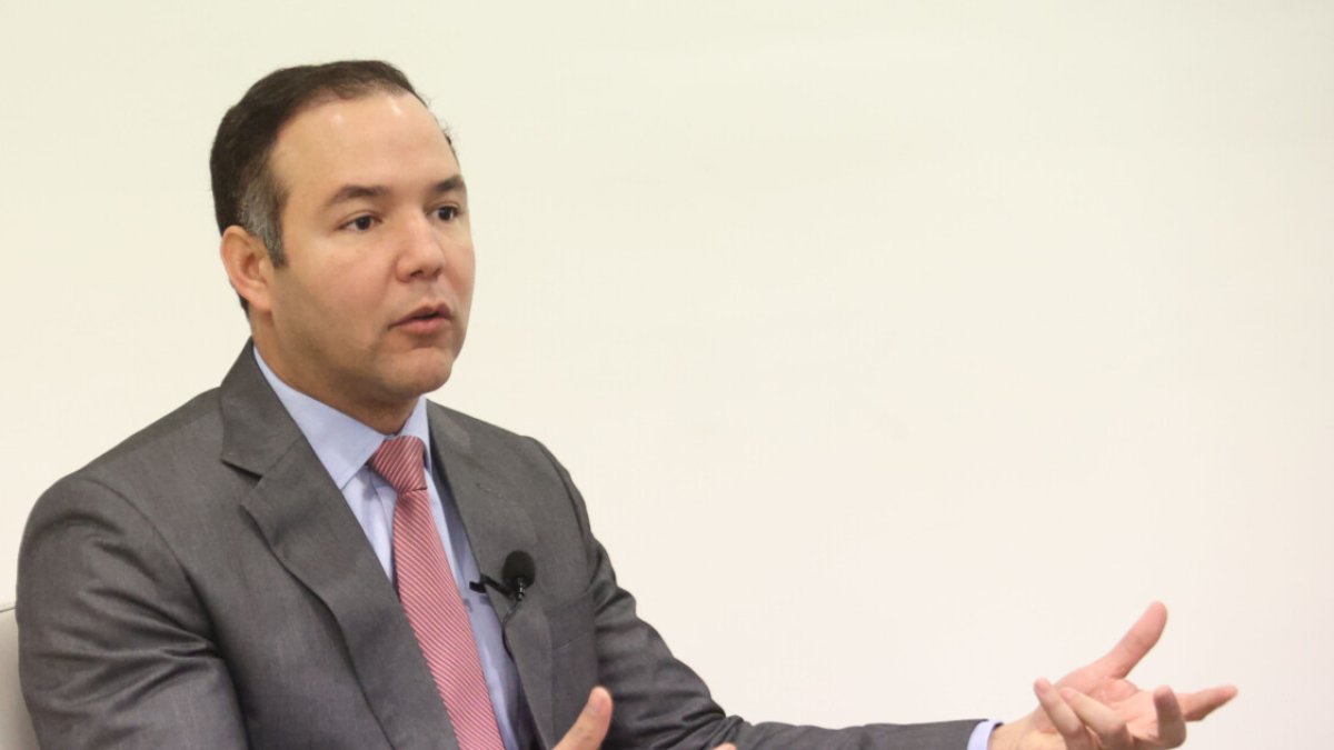PLD niega haga campaña sobre fondos Usaid
