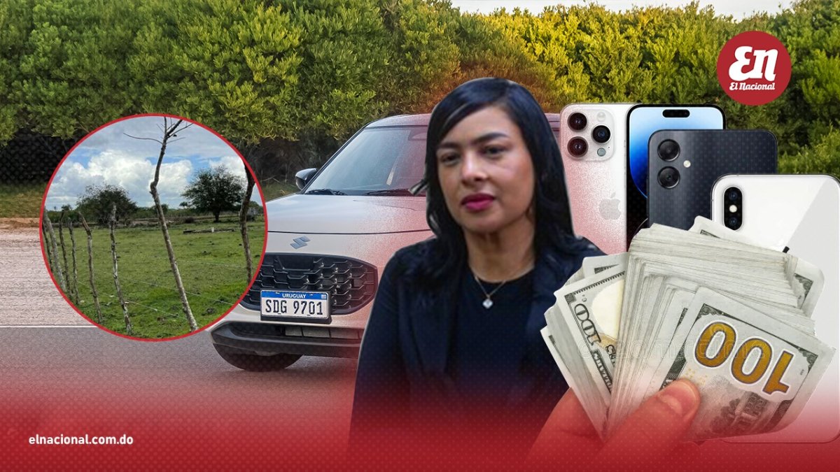 Vehículo, terreno y dinero: los bienes que deberá devolver madre de ...