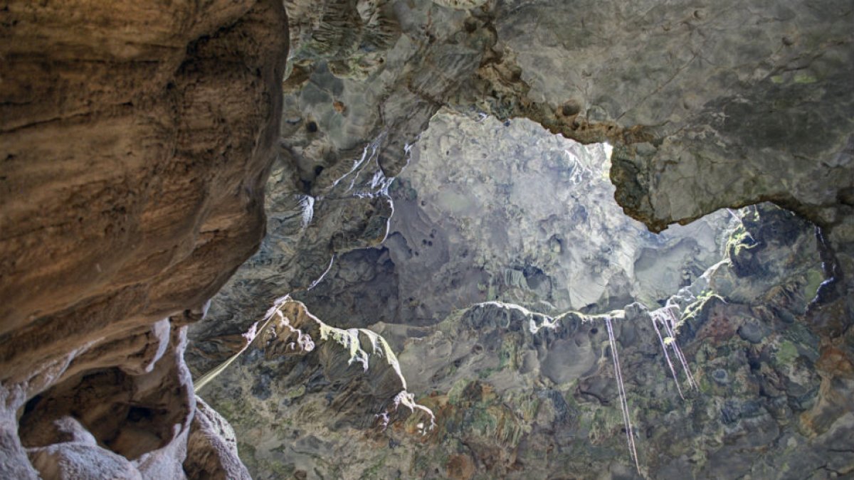 Sepultura de cueva causa alarma en la UASD