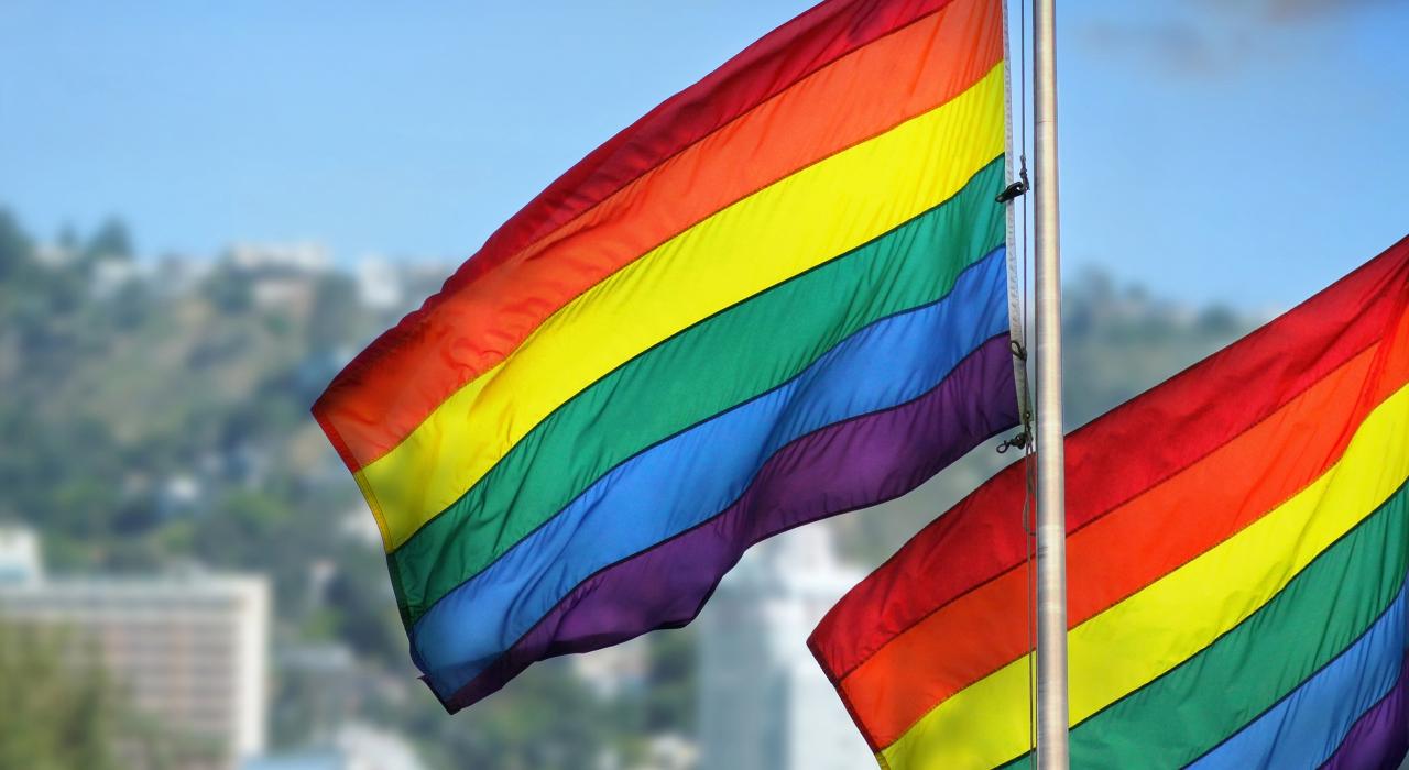 Promulgan ley que prohíbe propaganda LGBT en Georgia